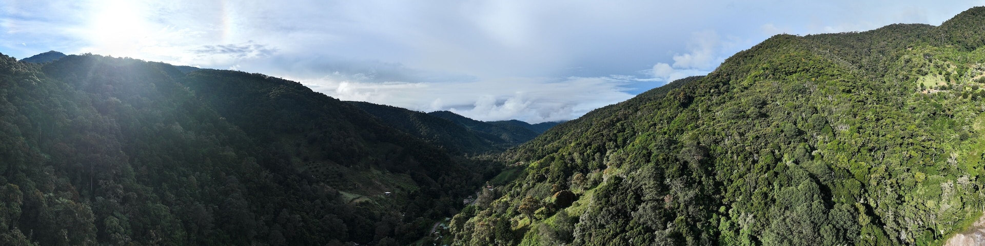 Um vale com florestas verdes densas e uma estrada sinuosa.