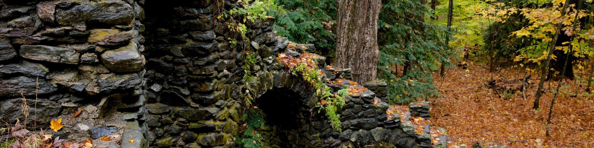 Um arco de pedra numa floresta com folhas de outono.