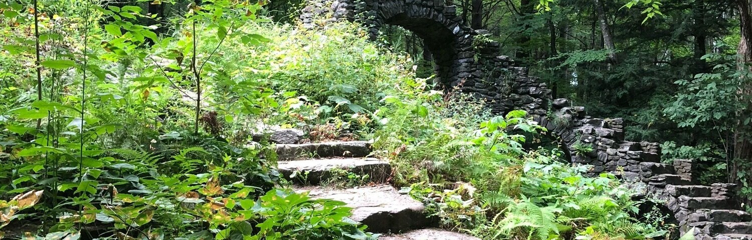 It’s hard to see in the forest, but that’s the old stone staircase