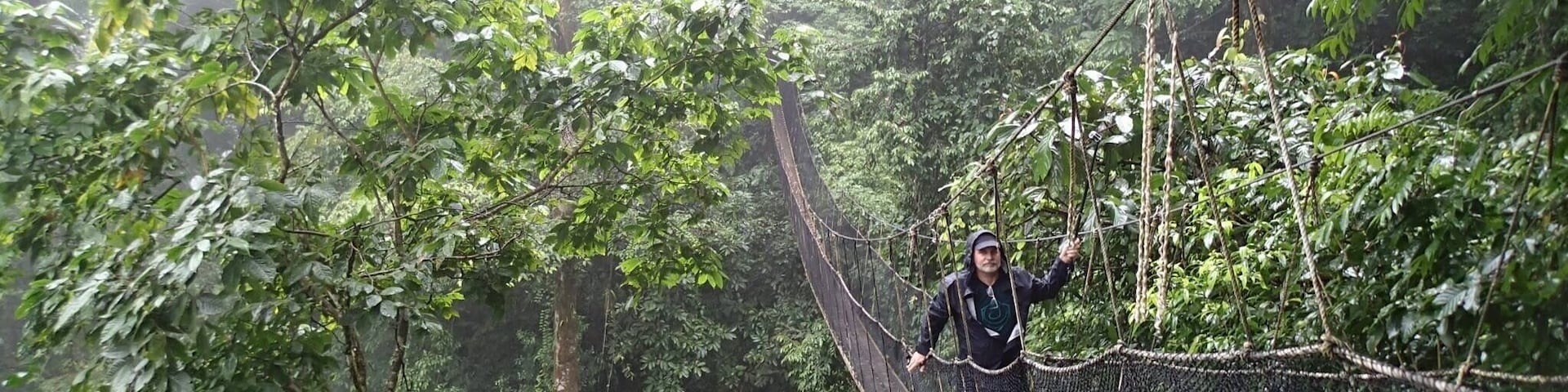 At first I was disappointed to have rain, but It made for a great hike. After all, that's why they call it the rain forest!