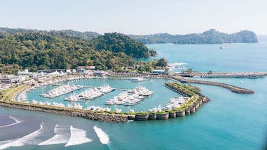 Marina cercada por vegetação exuberante e mar azul cristalino.