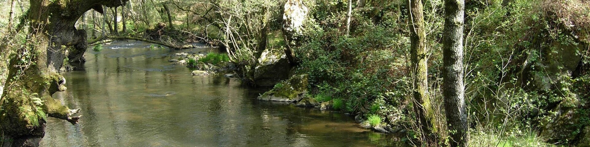 Poco antes de llegar Pazos atravesamos el río Toxa, que pronto volveremos a encontrarnos con el en la cascada. Vuela hasta esta localización. Necesitas el programa Google Earth.