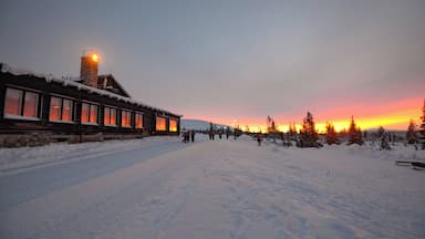 Um caminho coberto de neve que leva a um chalé com chaminé de pedra, cercado por árvores perenes e um pôr do sol ao fundo.