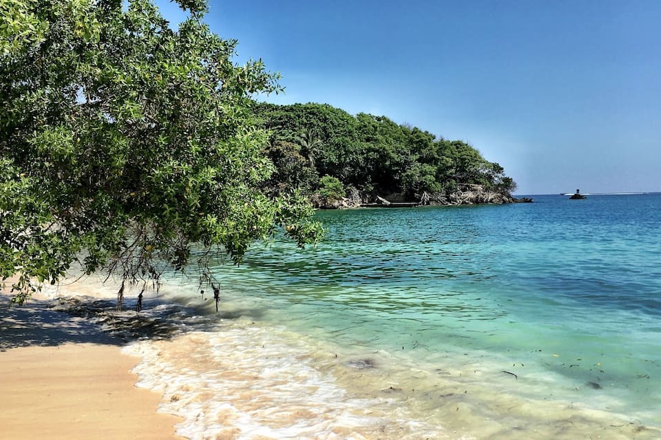 Uma praia com águas turquesa cristalinas, areal arenoso e árvores verdes exuberantes.