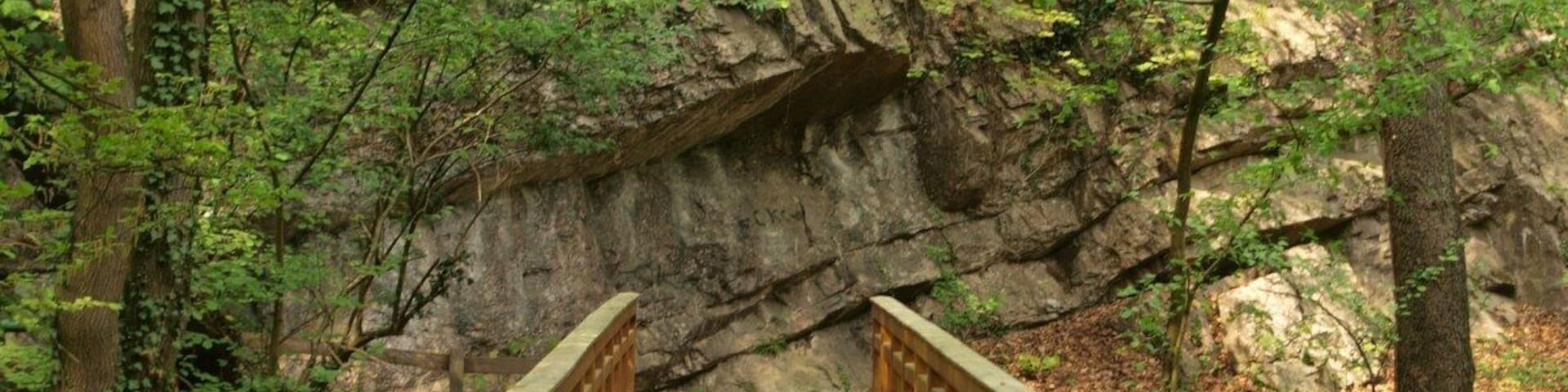 2011-04-22-142238_50,734847; 6,177337.JPG