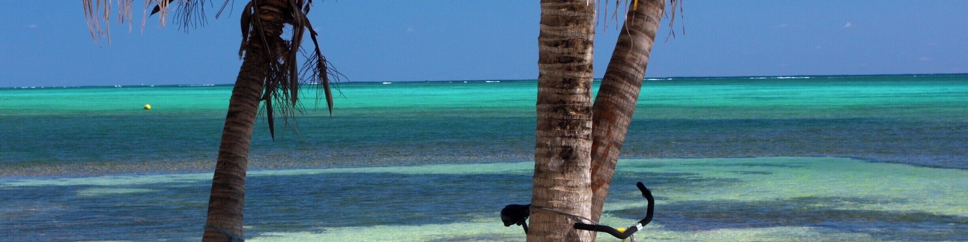 The beach front is filled with little local bars and people from all over the world. The caye has very few cars and lots of local. Also the coffee shop right off the taxi boat dock makes fabulous coffee.