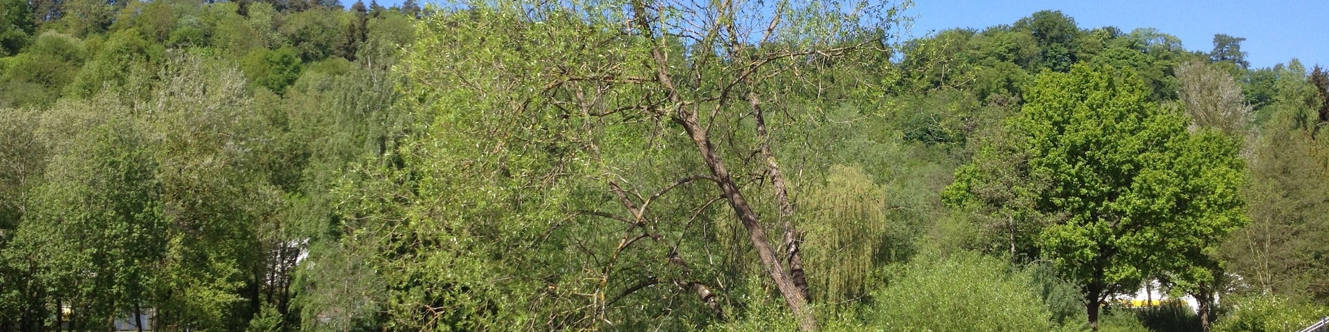 Der Landschaftspark Elbetal in Naumburg (Hessen), Habichtswaldsteig / Eco Pfad Archäologie Naumburg