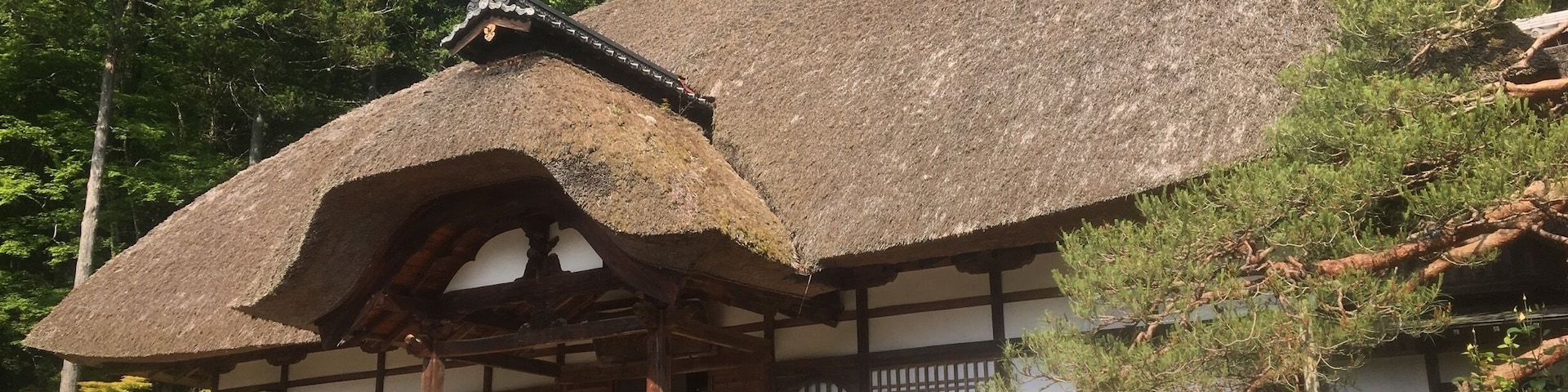 Early morning sunlight on the Jorakuji temple
