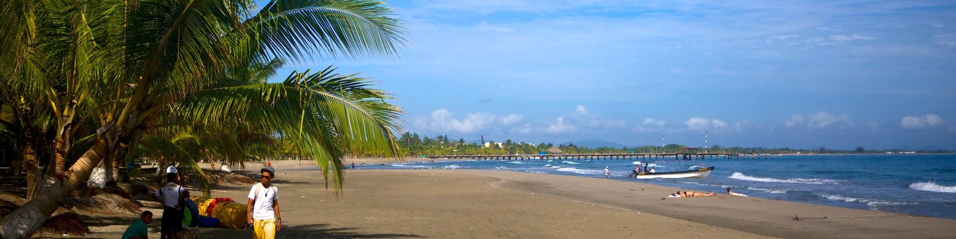 Northern Coast showing tropical scenes and a beach as well as a small group of people