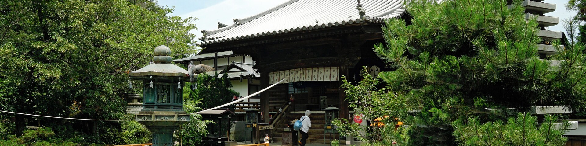 Um templo japonês tradicional com pagode, lago com carpas e uma ponte.