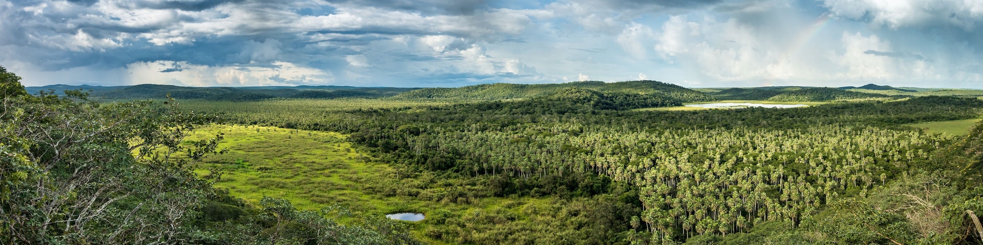 Paisagem verde exuberante com floresta densa, colinas onduladas e uma pequena massa de água.