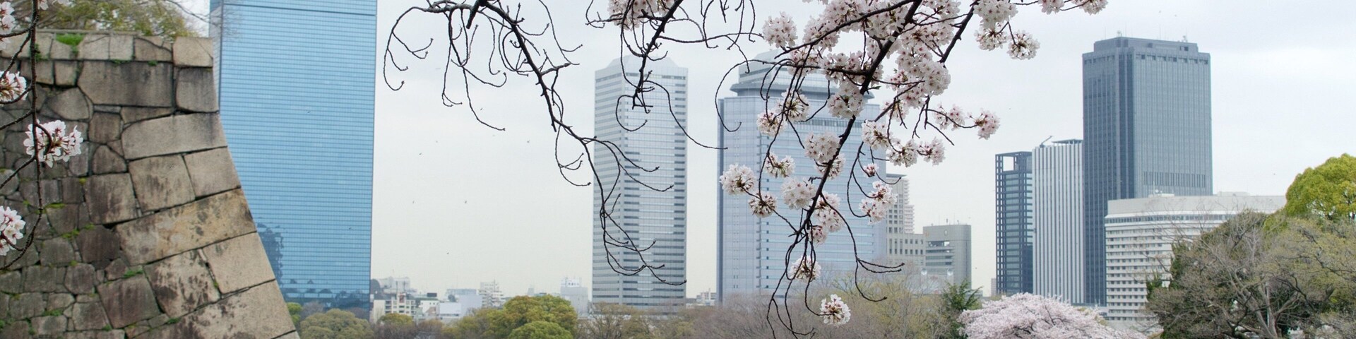 Osaka caracterizando um rio ou córrego, uma cidade e flores