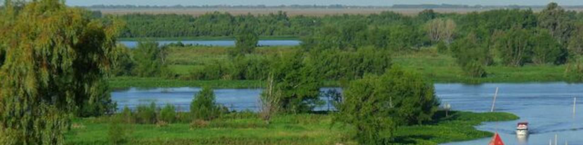 Su nombre completo es Rincón de San Pedro Dávila de los Arrecifes. Se halla a 170 km de la Capital. Se ubica sobre altos barrancos desde donde podemos divisar las aguas del Río Paraná. Su paisaje extiende su belleza en los campos, mayormente de cultivos de cítricos, durazneros y ciruelos, que se alternan con los rosales y plantas de los viveros.
De niña solía viajar a la casa de mis abuelos, que contaban con una huerta en la parte de atrás de la casa. Hoy suelo realizarme escapadas frecuentes a San Pedro en algunos fin de semanas en que necesito relajarme y alejarme un poco de la ciudad.
http://pasearconari.blogspot.com.ar/2016/02/un-paseo-de-fin-de-semana-en-san-pedro.html