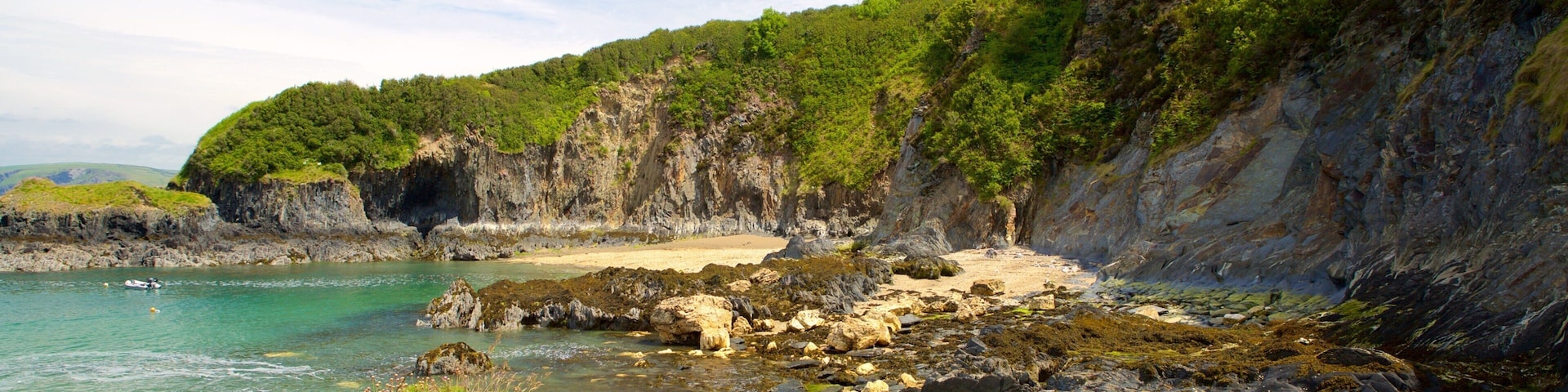 Uma praia rochosa com águas turquesa cristalinas, faixa de areia e penhascos verdes e exuberantes.