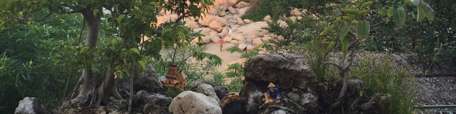 Trying my hand at some creative photography. 
Nhs Trang beach front in background and miniature bonsai image in foreground