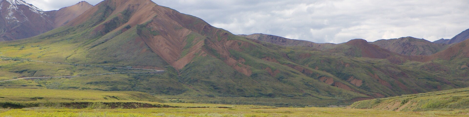 Denali National Park mostrando animais perigosos e montanhas