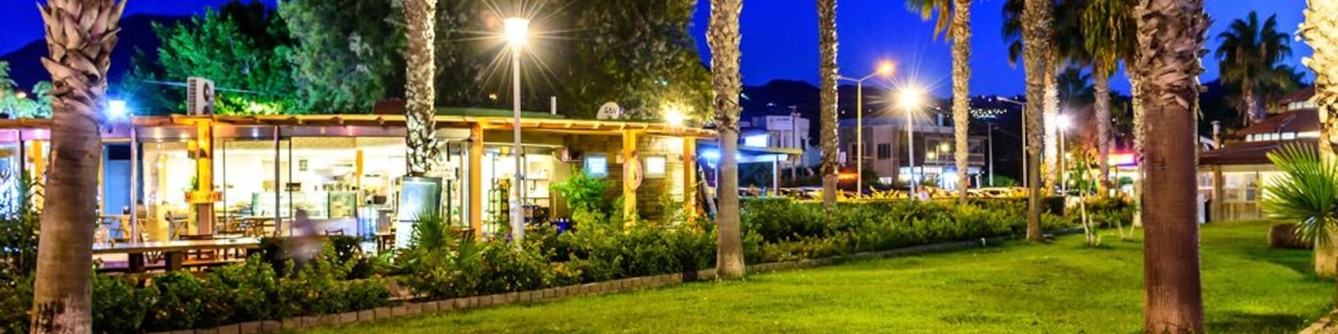 Um parque bem iluminado ao anoitecer, com palmeiras, uma área gramada e um banco.