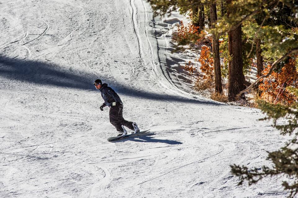 Um snowboarder em uma encosta nevada com árvores e folhas de outono.