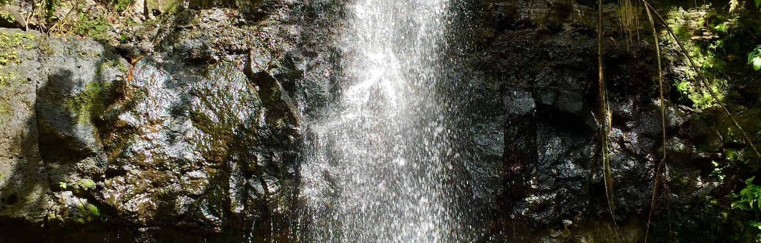 A small waterfall with a cool swimming pool at the base, just an easy 5 minute walk off the dirt road leading to Walung village. #kosrae #waterfall