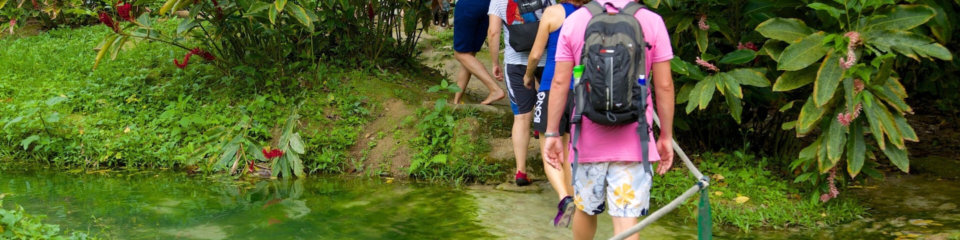 Efate que inclui escalada ou caminhada assim como um pequeno grupo de pessoas