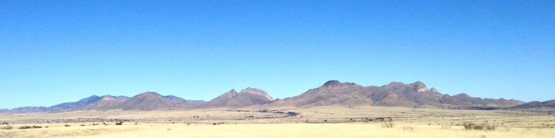 When in SouthWest Arizona be sure to visit the wine region. There are about 18 different wine estates in Sonoita/Elgin wine region. The wine estates are nothing like California, South Africa or Europe, but it is interesting to know that vines can grow in these harsh weather conditions and rocky terrain. 
We tried three Estates and we would only recommend the oldest vineyard in the area, Sonoita Vineyards. They have some interesting wines and we would rate them fair to good especially for being in AZ. The main building does not have that much charm like wine estates in Stellenbosch or Franschhoek, but the surrounding views are beautiful. 
Locals have mentioned that Hops & Vines is another estate worth trying.