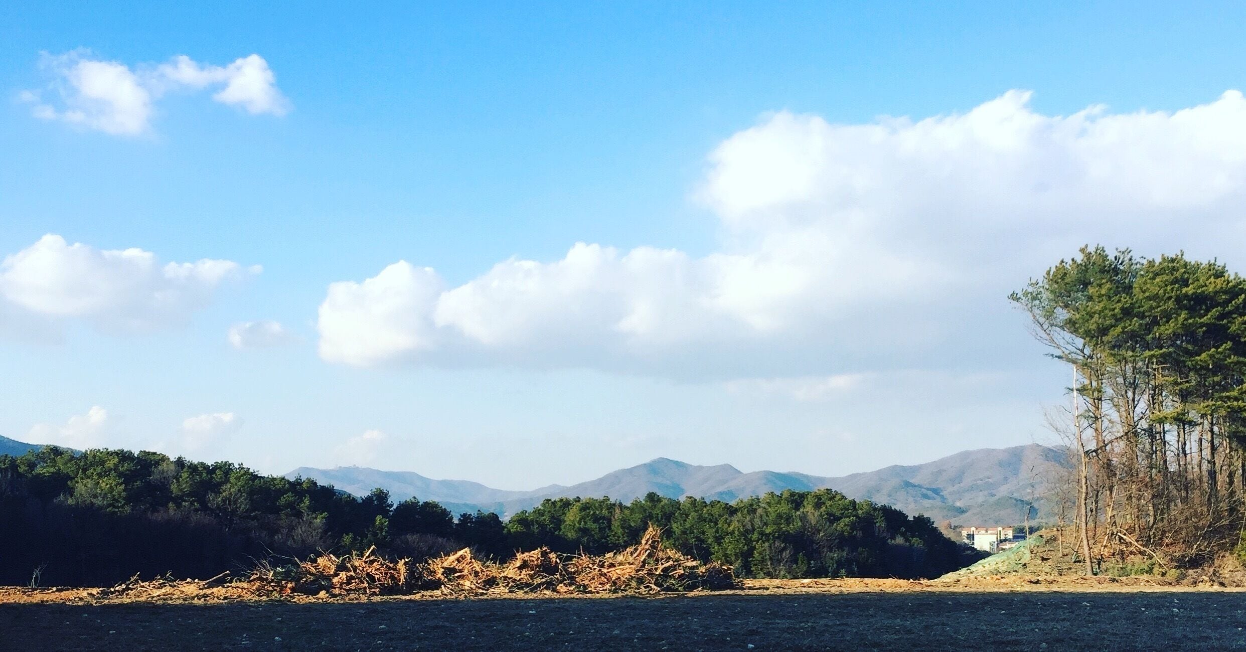 Paisagem com céu claro, montanhas ao fundo e uma árvore à direita.