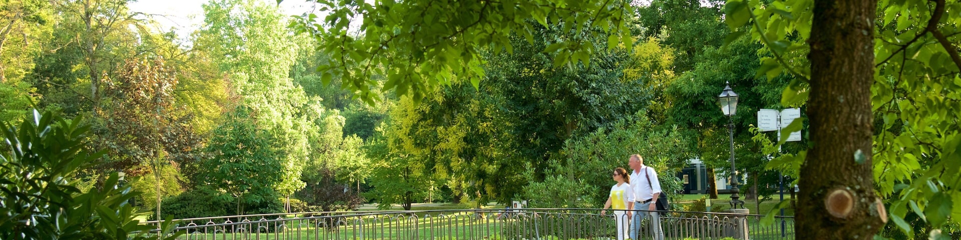 Baden-Baden showing a park