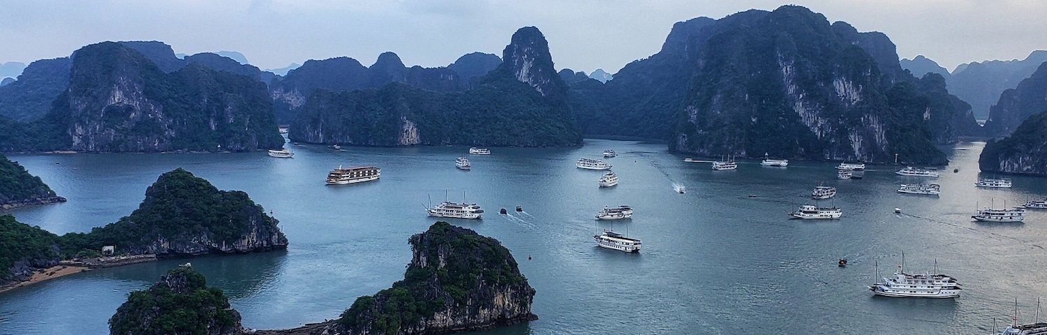 In Halong Bay on 🔝 of the beautiful Ti Top Island. This island allows you to walk about 400 steps up, and you'll get this view!
#nature