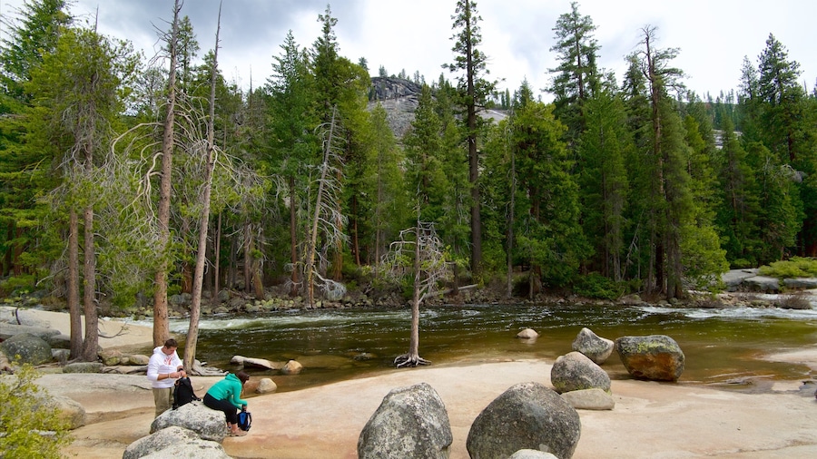 Central Interior California which includes forests and a river or creek as well as a couple