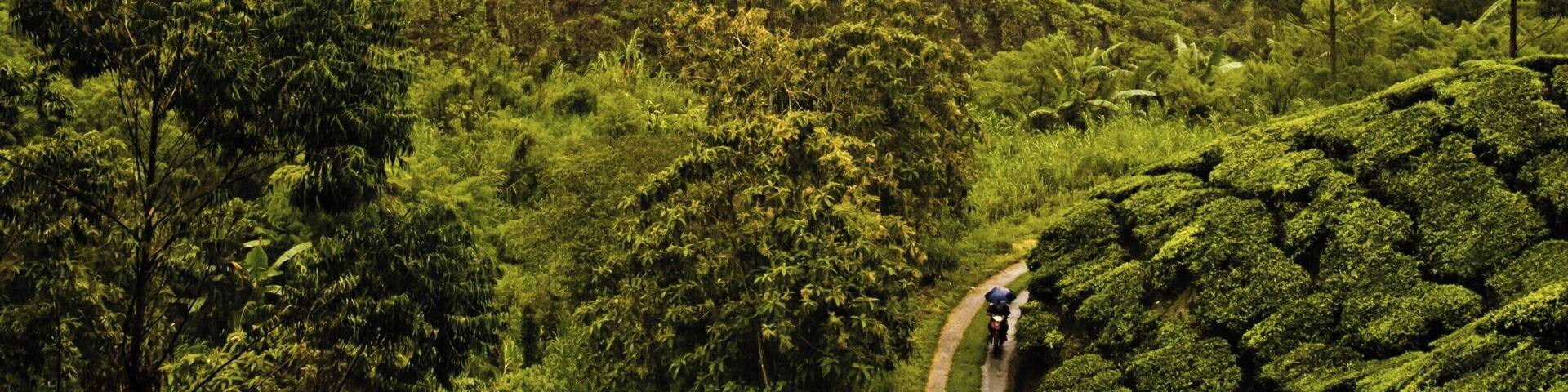Tea sampling and incredible views of the tea plantation
#lifeatexpedia #Green #GreatOutdoors #AboveItAll #Perspectives #ontheroad #culture #Nature #Trovember