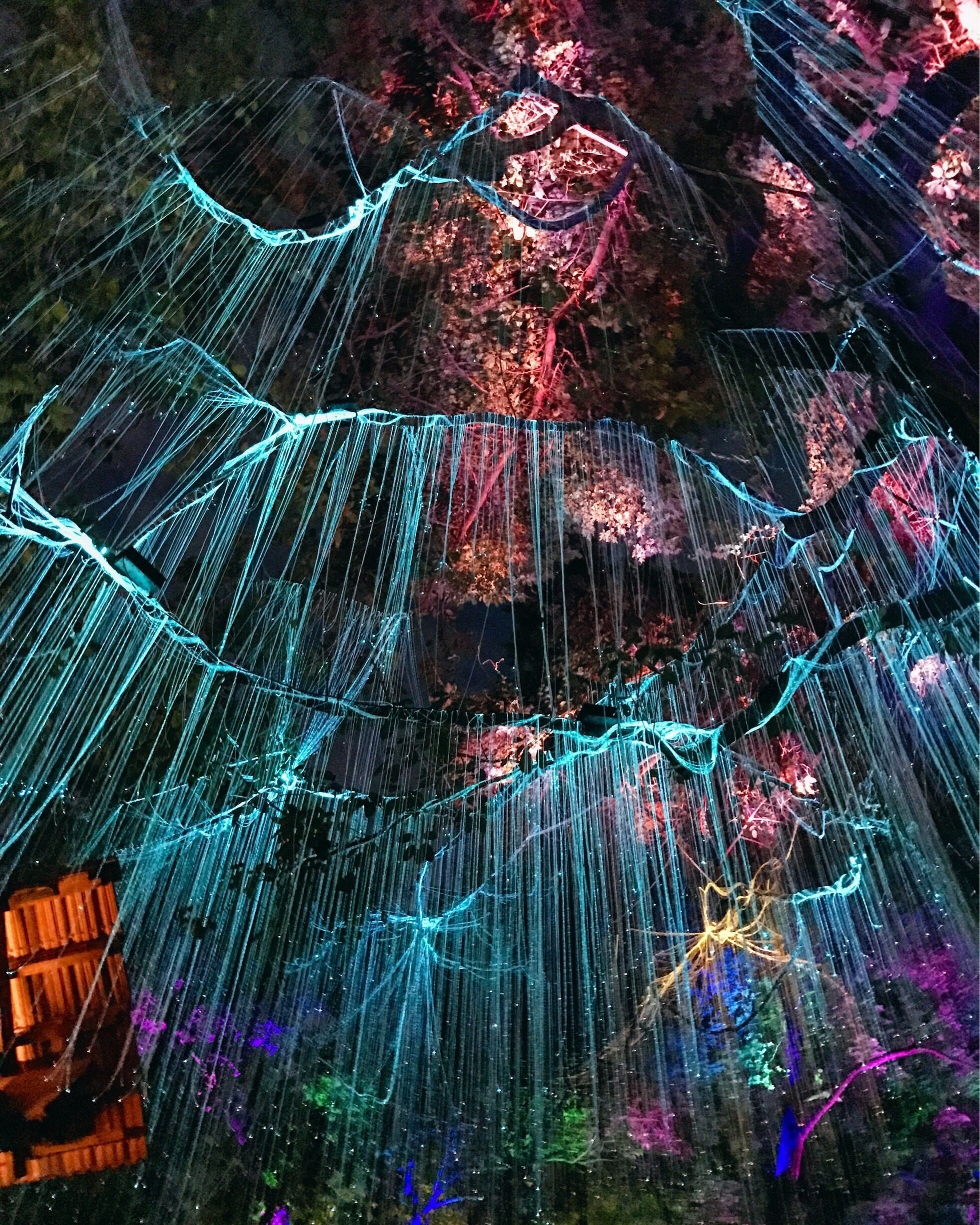 Avatar Secret Garden