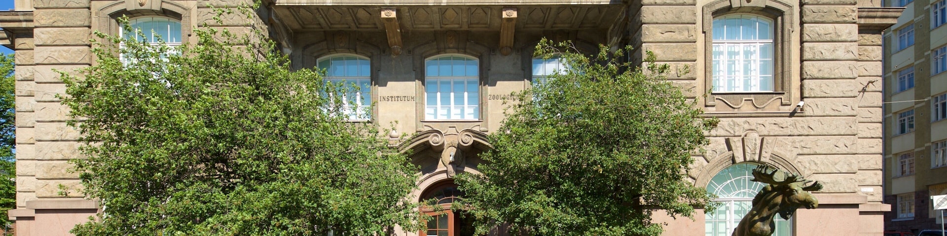 Um edifício histórico com uma entrada imponente, duas árvores grandes na frente e uma estátua de alce à direita.