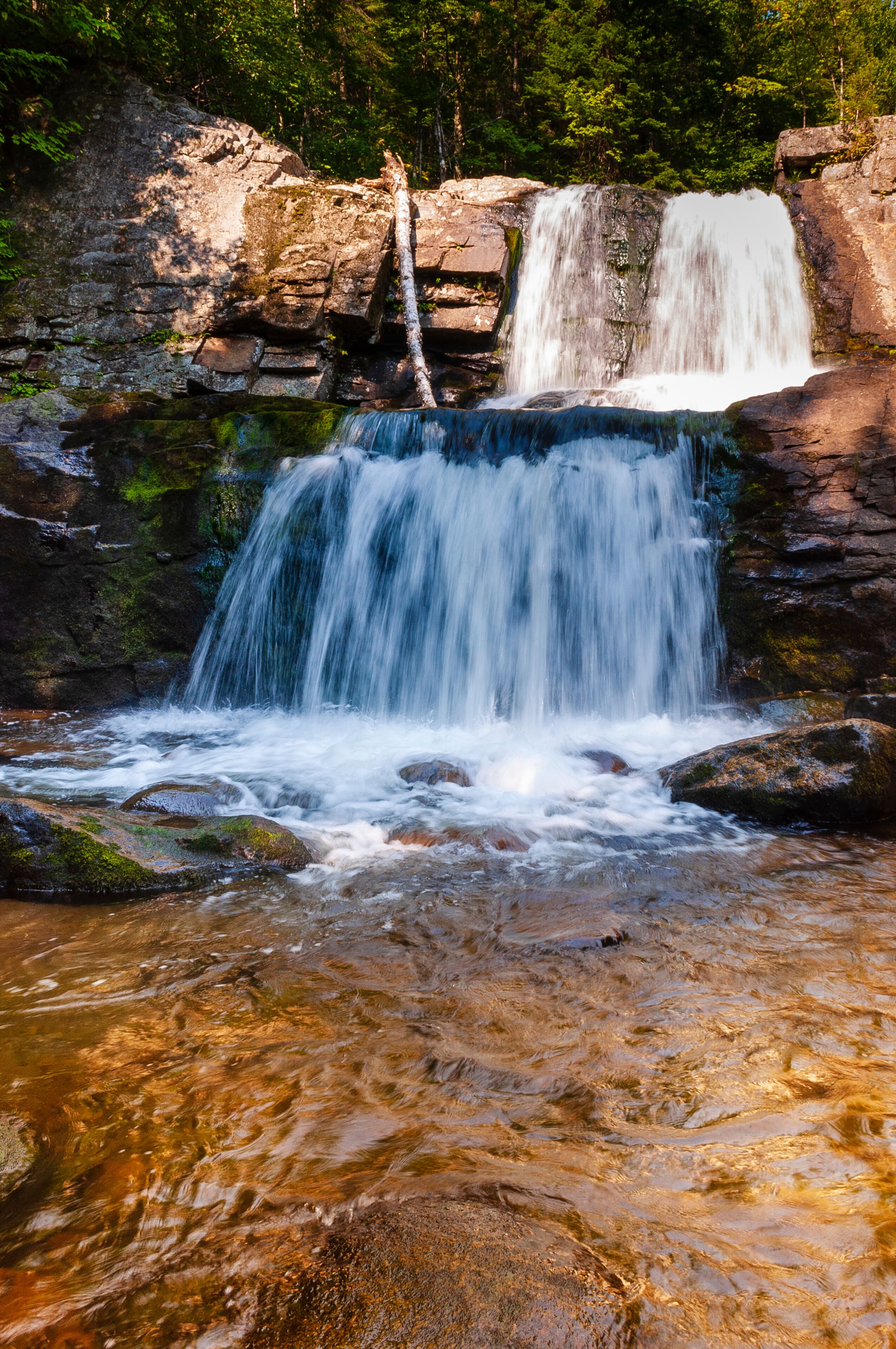 Uma cascata despencando sobre rochas, rodeada por vegetação exuberante.