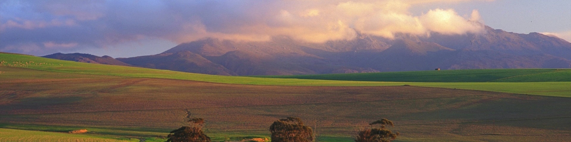 Caledon showing tranquil scenes and landscape views