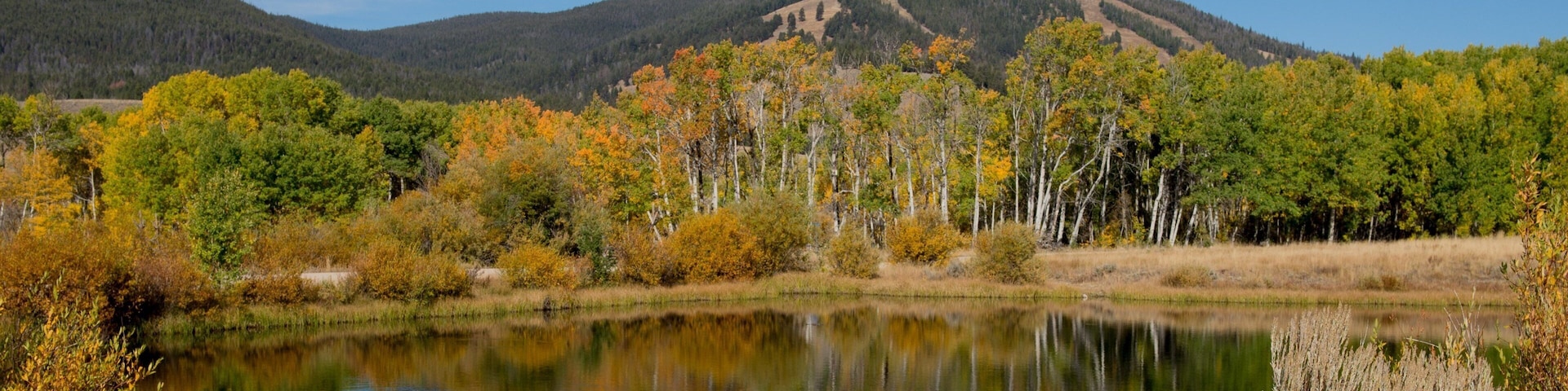 Sudoeste de Montana que inclui um lago ou charco, florestas e montanhas