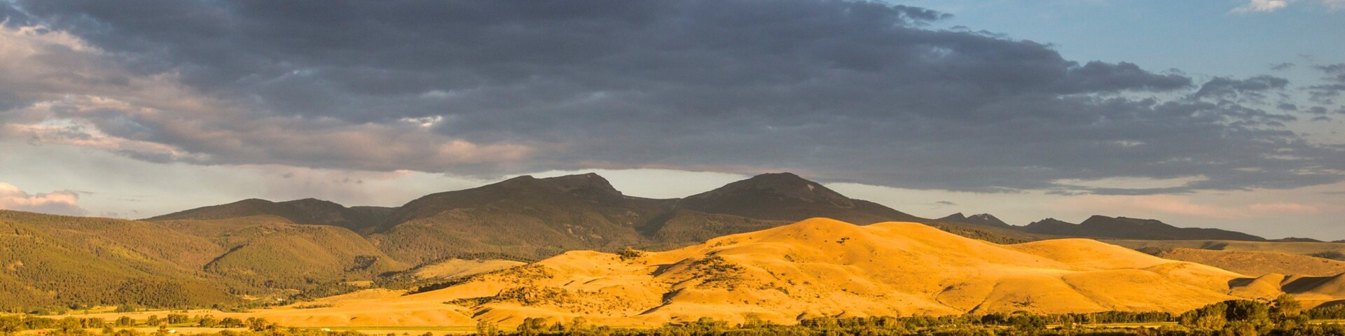Southwest Montana which includes tranquil scenes, land animals and landscape views
