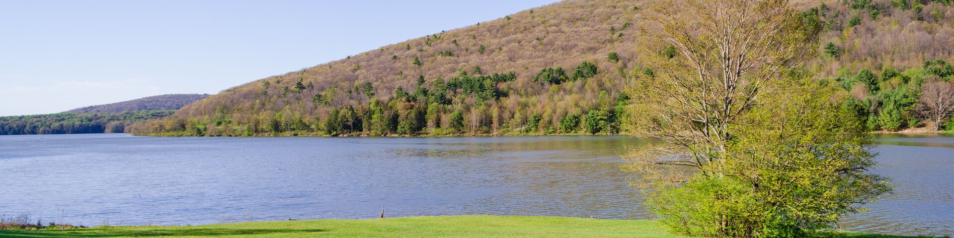 Um lago rodeado por uma área gramada e uma colina com árvores.