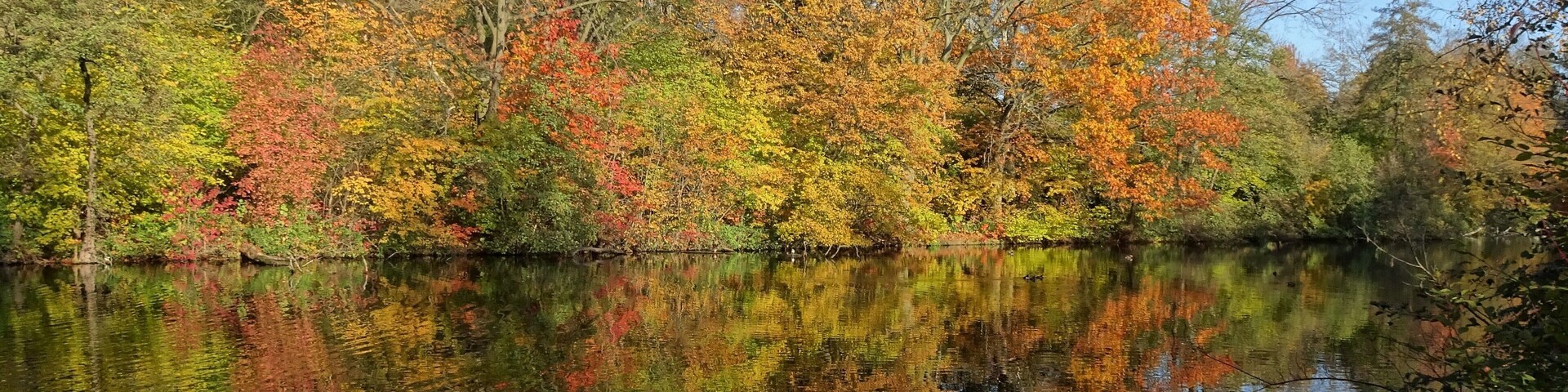 Nice reflection of the fall color palette.