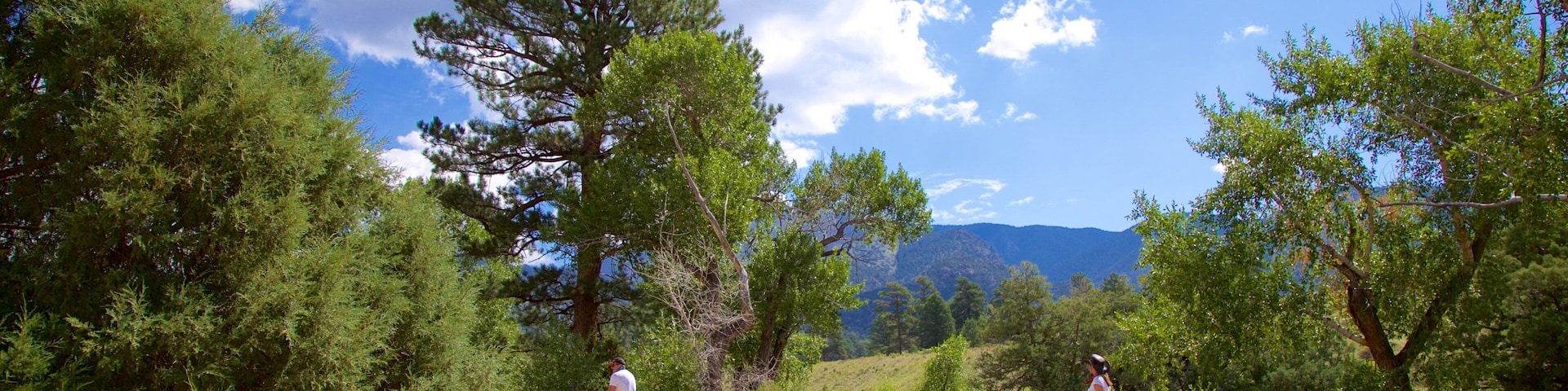 South Central Colorado featuring land animals and tranquil scenes as well as a couple