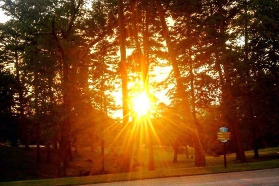 Um pôr do sol atrás de árvores, com uma estrada ao primeiro plano.