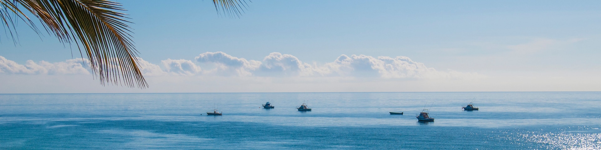 Uma praia com uma palmeira, um cais e vários barcos na água.