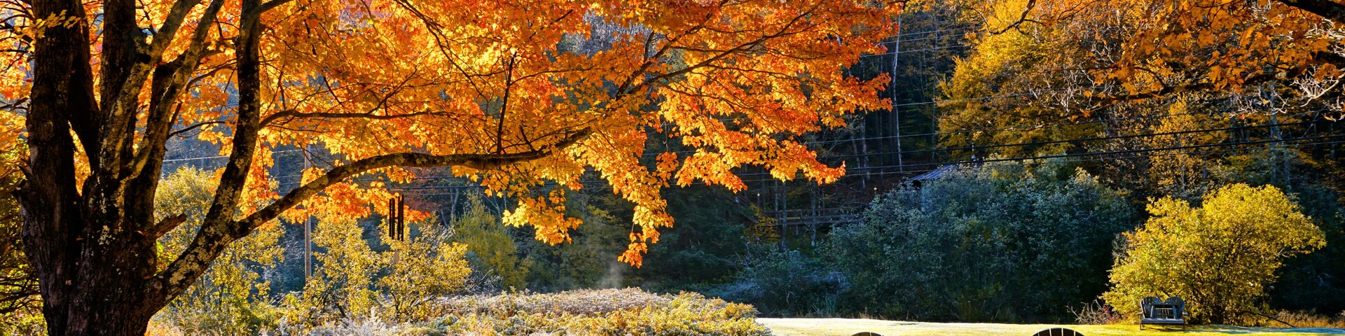 Um parque com folhagem de outono, duas cadeiras Adirondack, uma mesa pequena e uma abóbora.