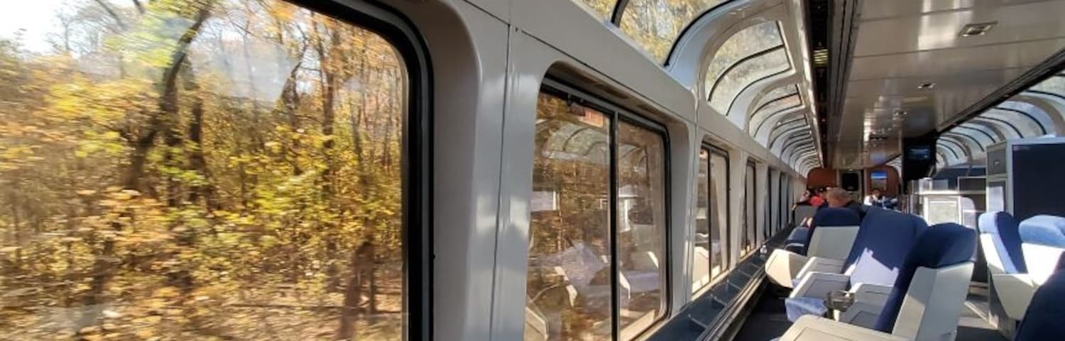 Interior de trem com assentos azuis e janelas que dão para uma floresta.
