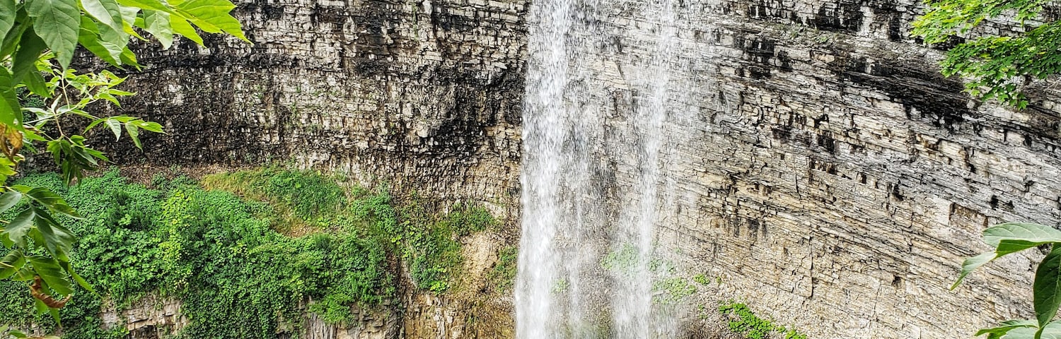 One of the many waterfalls in Hamilton