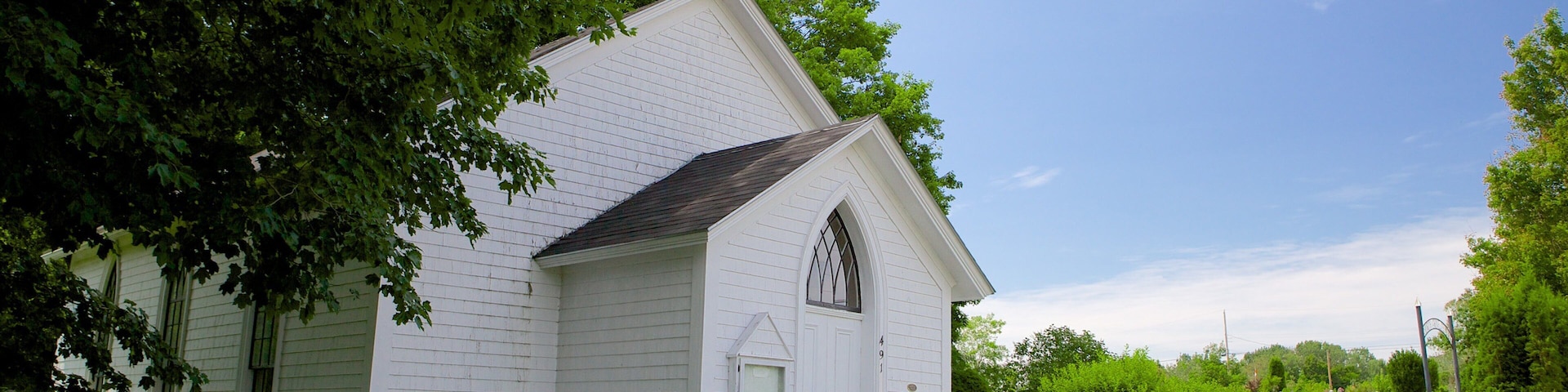 Kingston que inclui um jardim