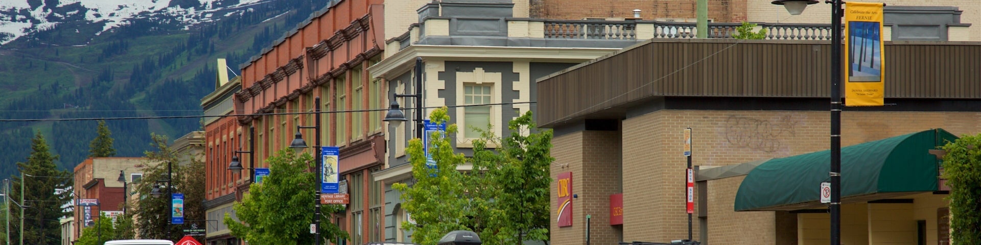 Fernie featuring snow and mountains