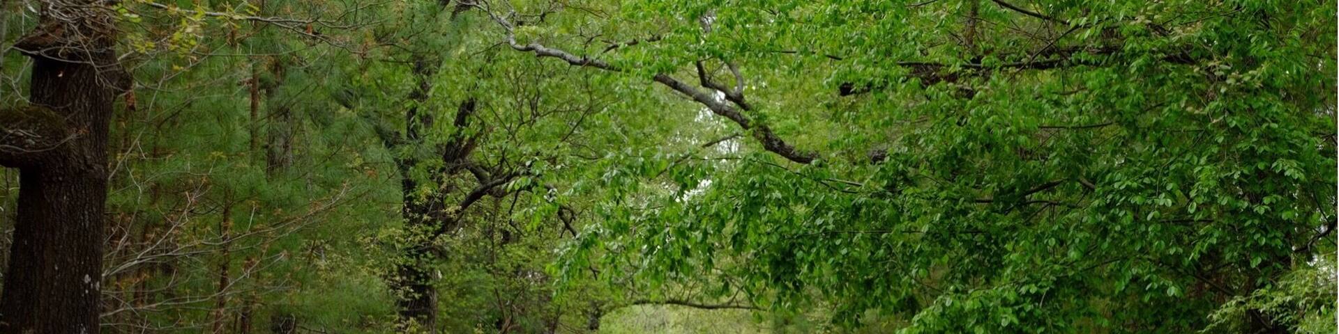 “Sometimes the most scenic roads in life are the detours you didn't mean to take.”
― Angela N. Blount