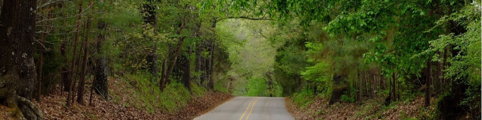 “Sometimes the most scenic roads in life are the detours you didn't mean to take.”
― Angela N. Blount