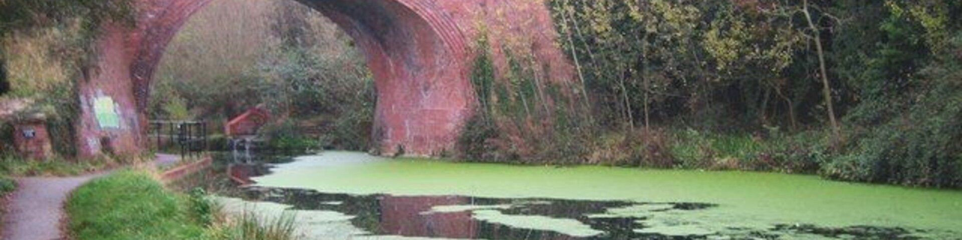 Uma ponte de tijolos sobre um rio com algas verdes.
