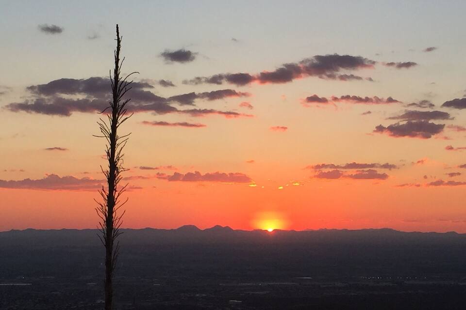 Pôr do sol sobre uma paisagem montanhosa, com a silhueta de uma árvore em primeiro plano.